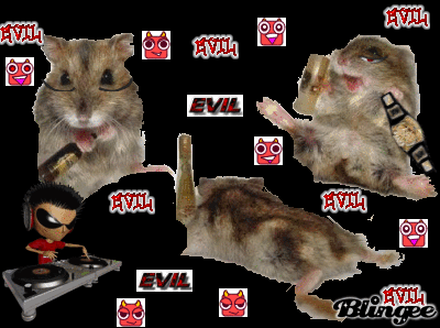 Evil Hamster