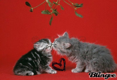 Kittens Kissing Gif