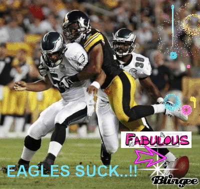 Eagles Suck Meme