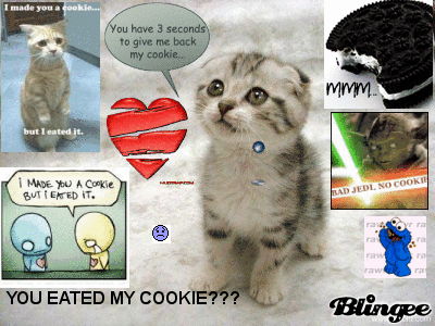 You Eated My Cookie