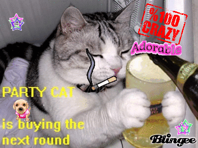 Drunk Cat Gif