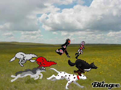 Wolf Pack Running Animation