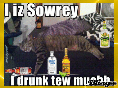 Drunk Cat Gif