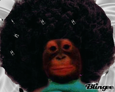 Monkeys With Afros