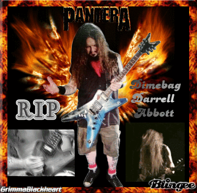 Dimebag Darrell Rip