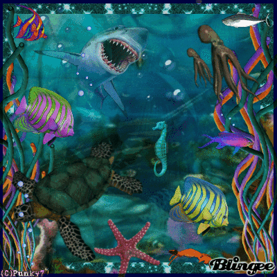 Ocean Animals Animated Gif