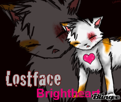 Warrior Cats Brightheart And Swiftpaw
