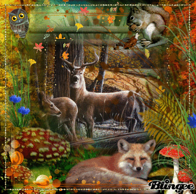 Animated Forest With Animals Gif