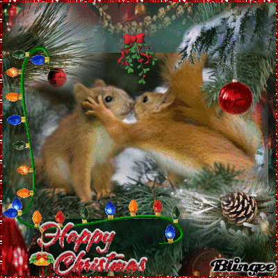 Christmas Squirrels Picture #118409097 | Blingee.com