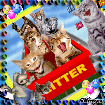 Funny Roller Coaster Kitty