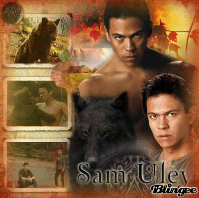 Sam Twilight Wolf