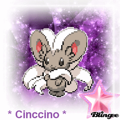 Cinccino Gif
