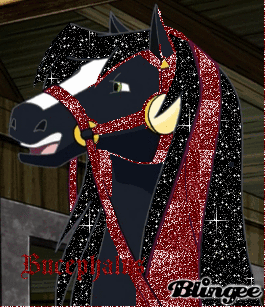 Horseland Bucephalus