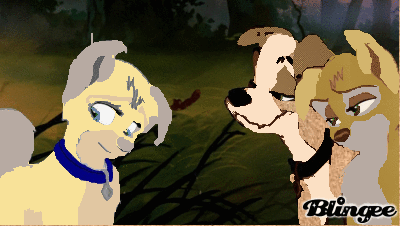 Scamp And Angel S Pups Picture Blingee Com