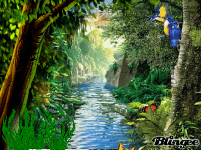 jungle Picture #134278101 | Blingee.com