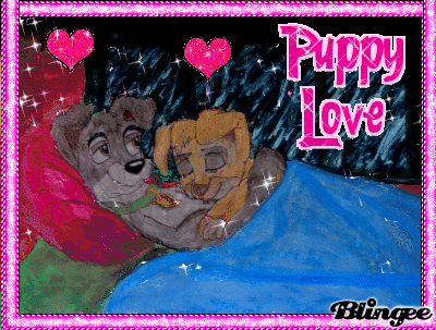 Scamp X Angel Picture Blingee Com