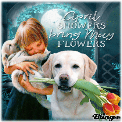 April Showers bring May Flowers Girl with Dogs Picture #136340358 ...