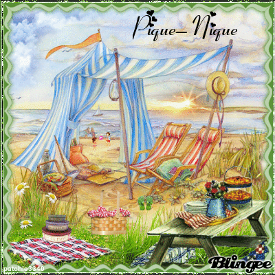 PIQUE NIQUE A LA PLAGE